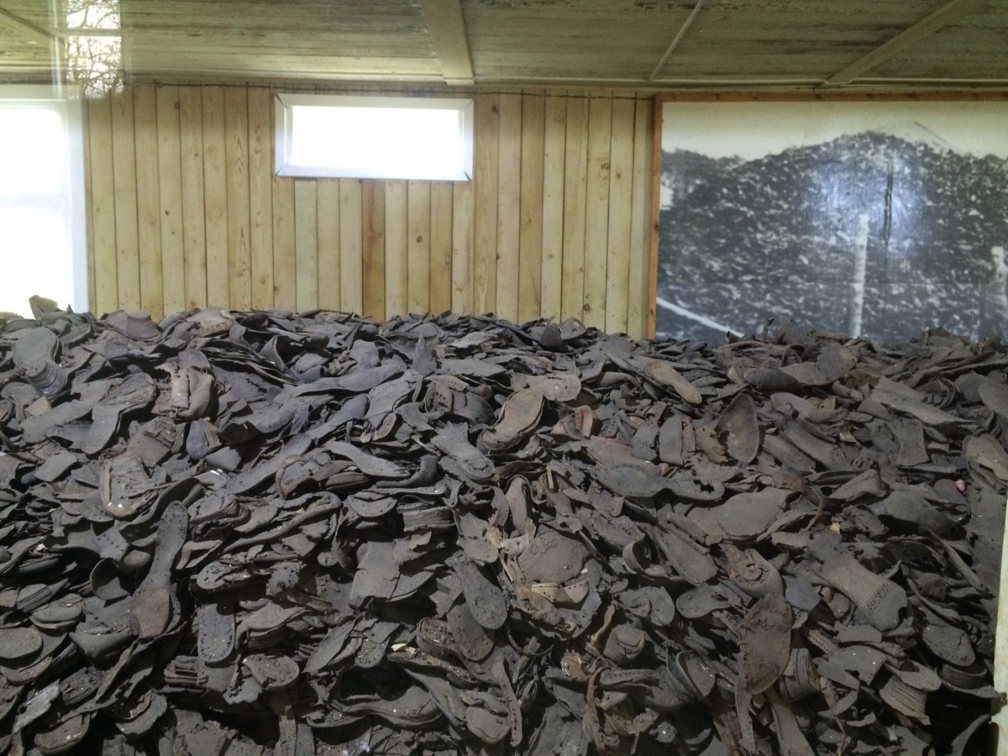 Stutthof Concentration Camp & Gdansk Highlights Tour - Nordic Experience