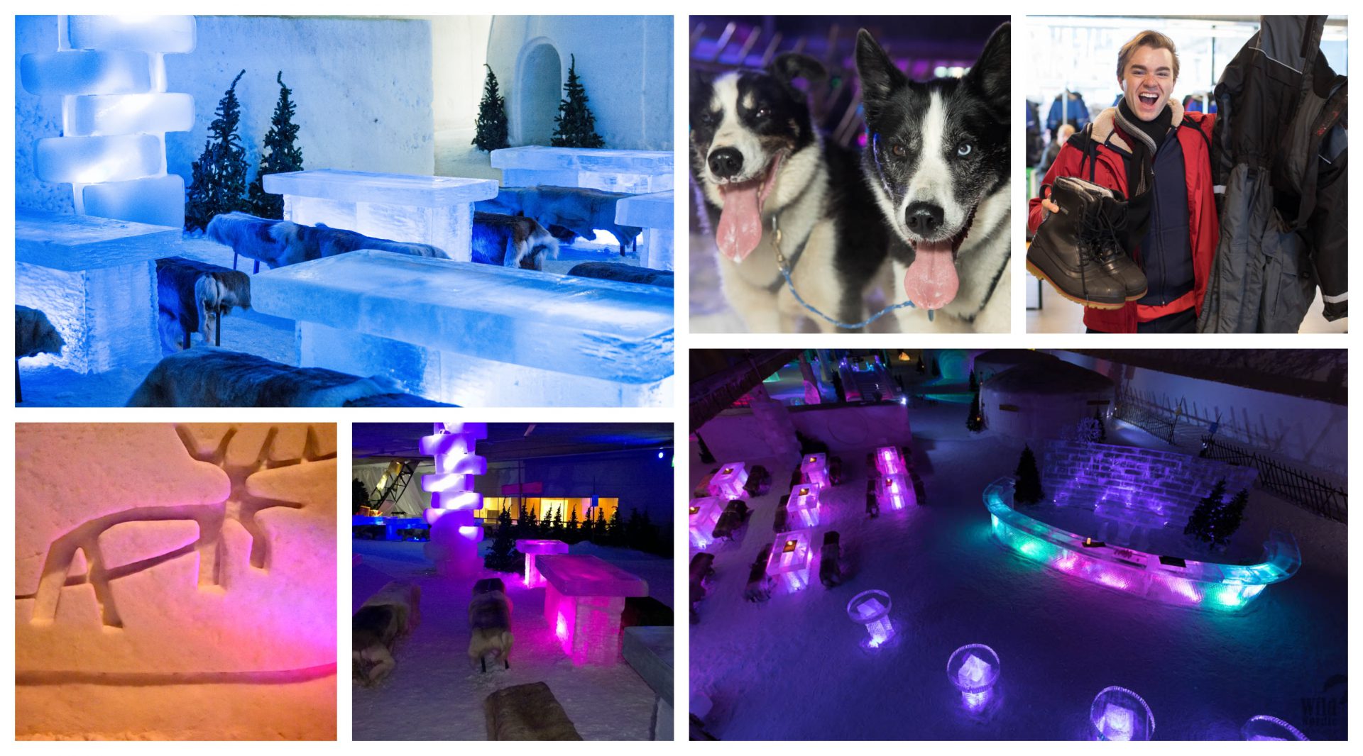 A Perfect Guided Tour Just For You and Your Family at the Baltic Sea - Nordic Experience